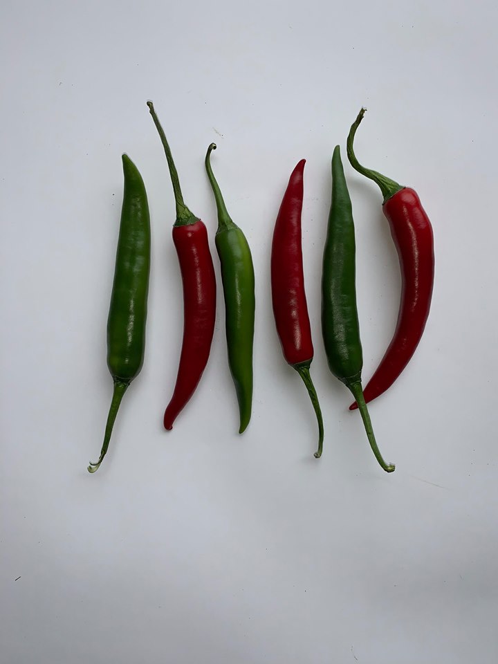 MIXED CHILLIES (100g) - Down Wholesale