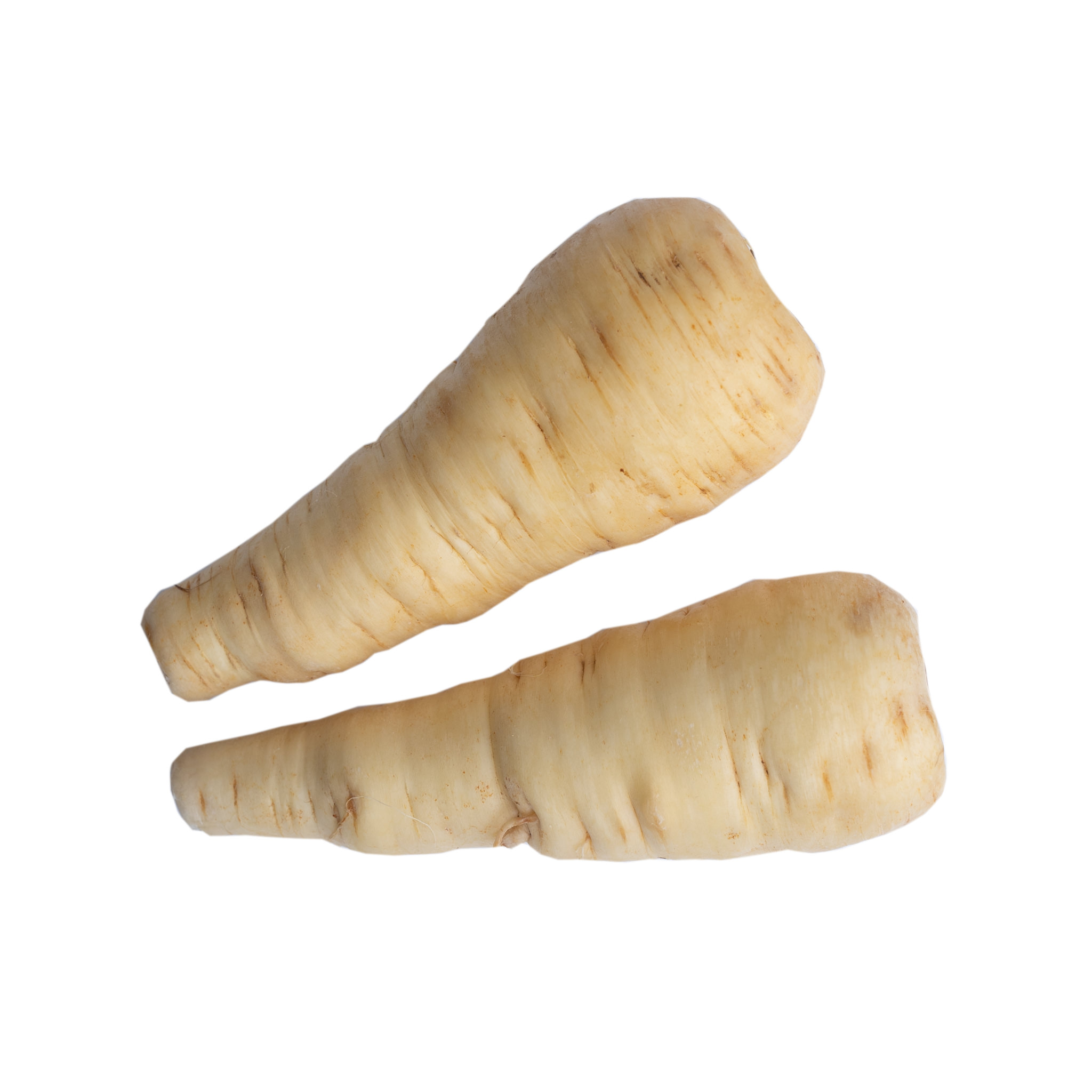 IRISH PARSNIP (500g) - Down Wholesale