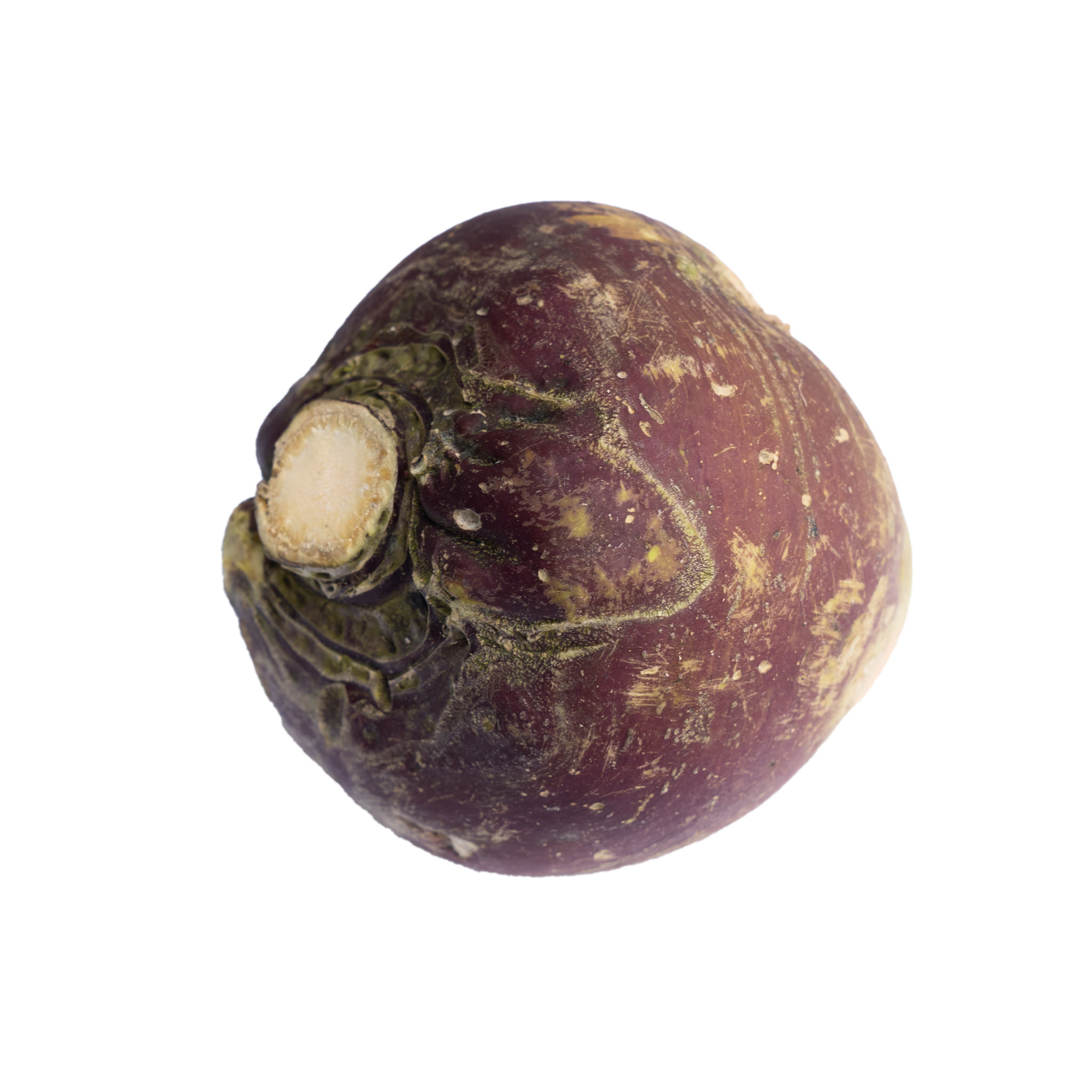 TURNIPS (each) - Down Wholesale