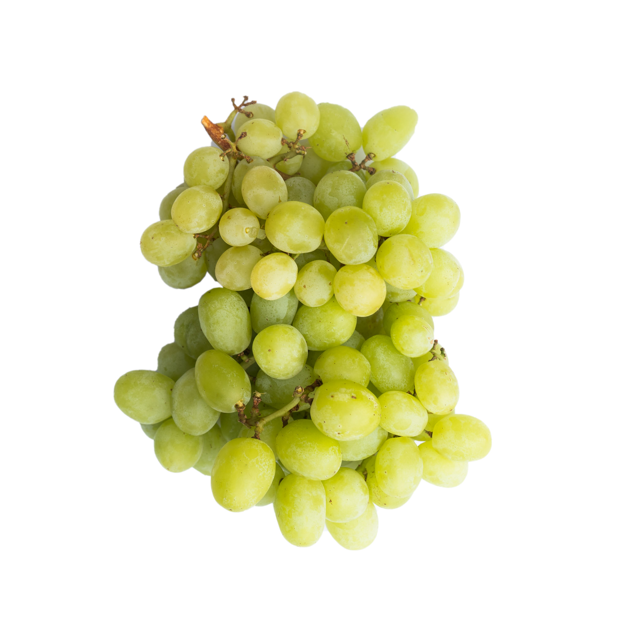 GREEN GRAPE (500g punnet) - Down Wholesale