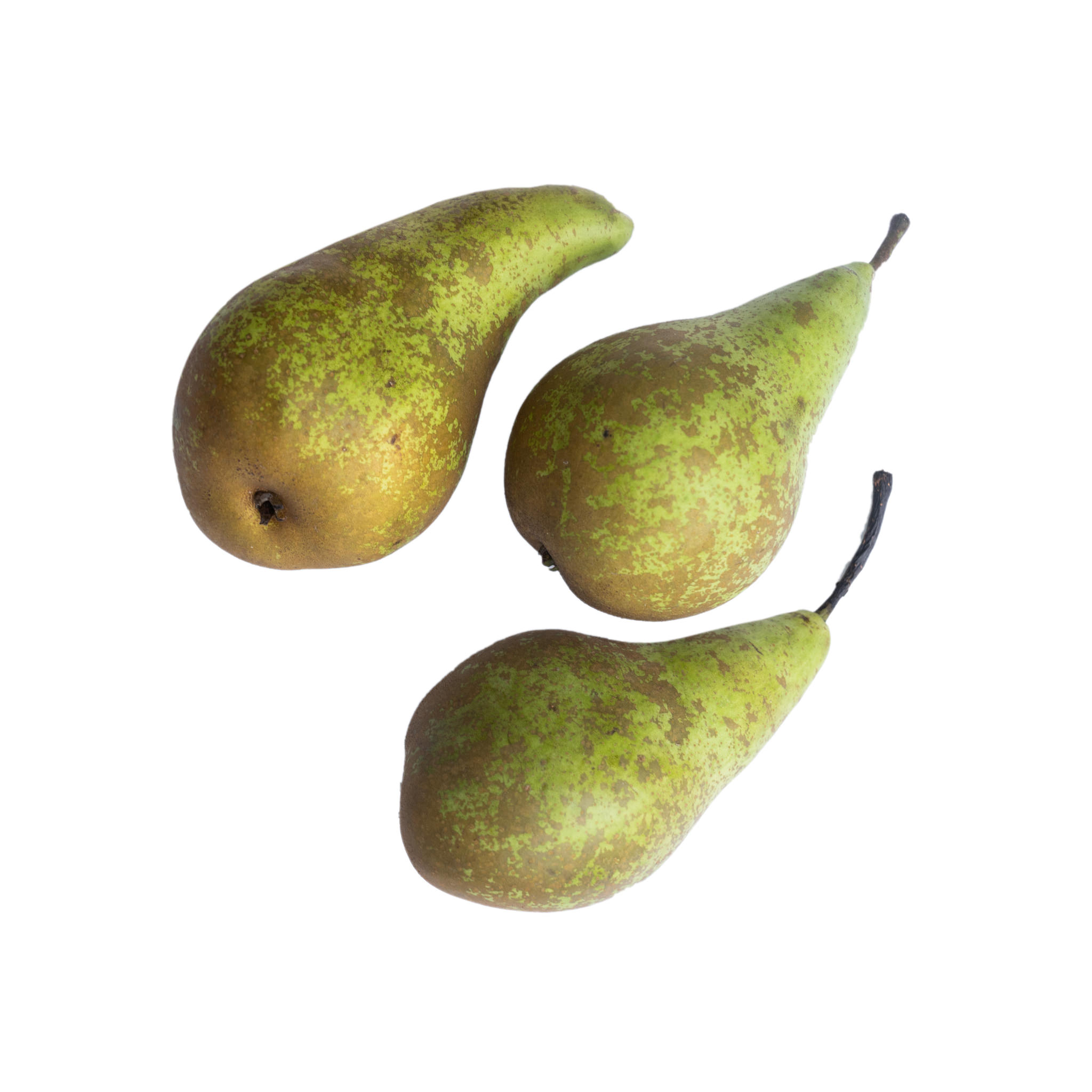 CONFERENCE PEAR (each) - Down Wholesale