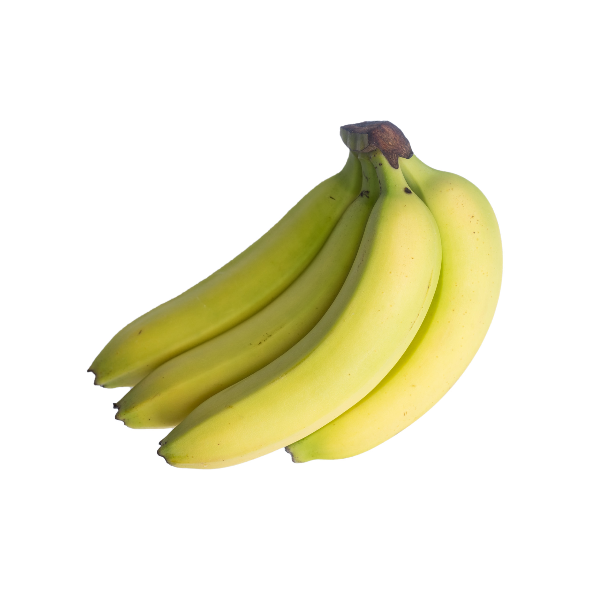 Banana (PACK OF 5 MEDIUM) - Down Wholesale