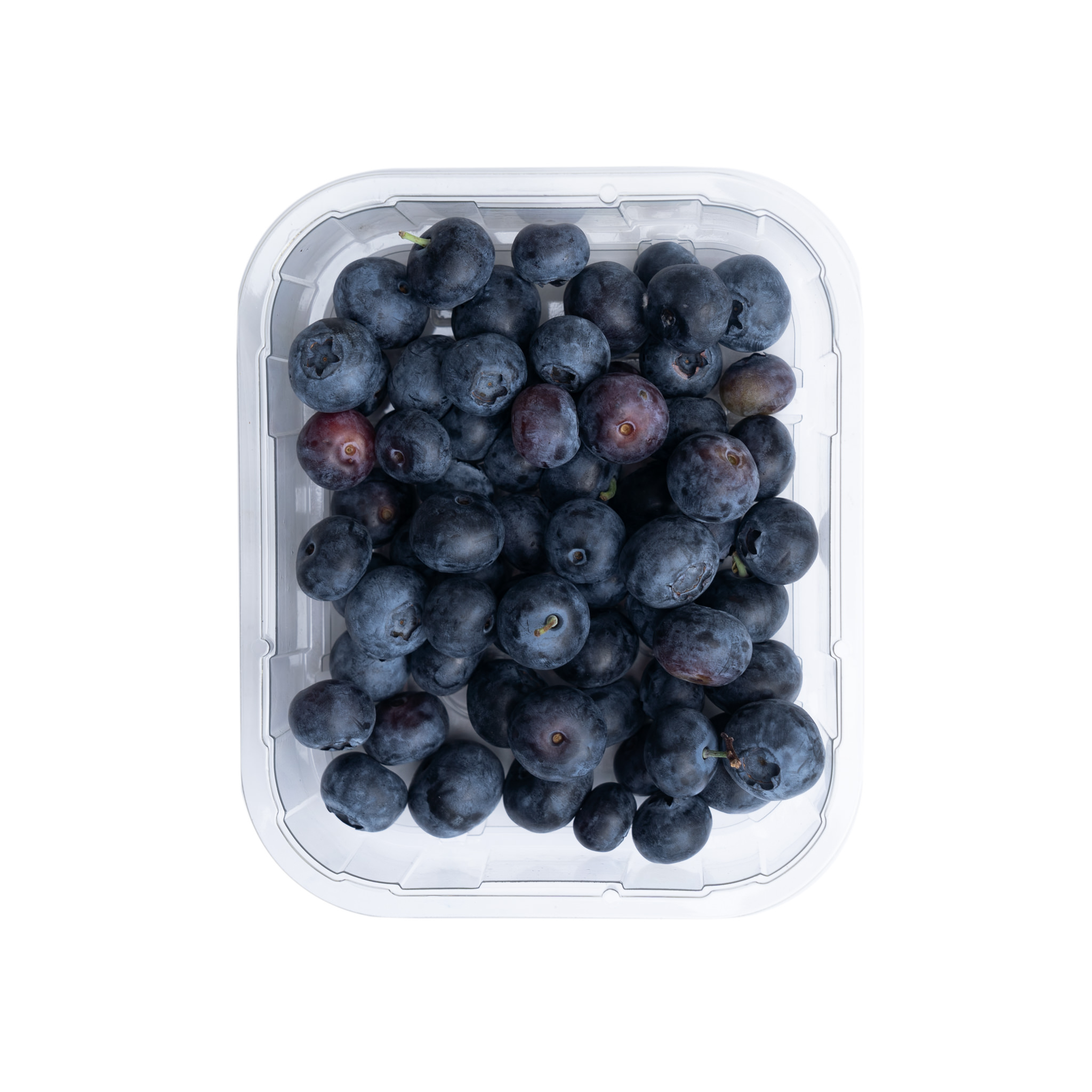 BLUEBERRY 150G PACKET - Down Wholesale