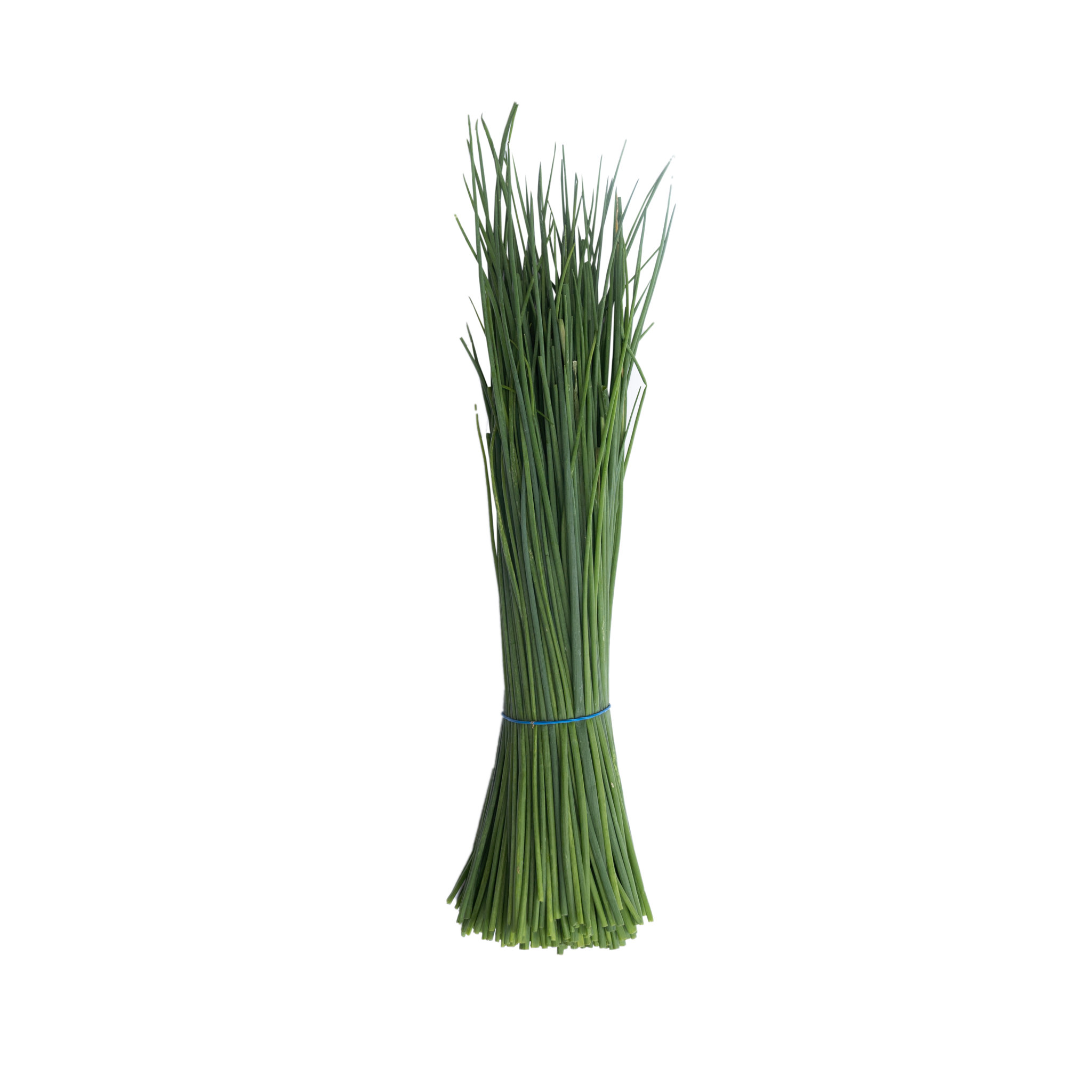 CHIVES (100g BUNCH) - Down Wholesale