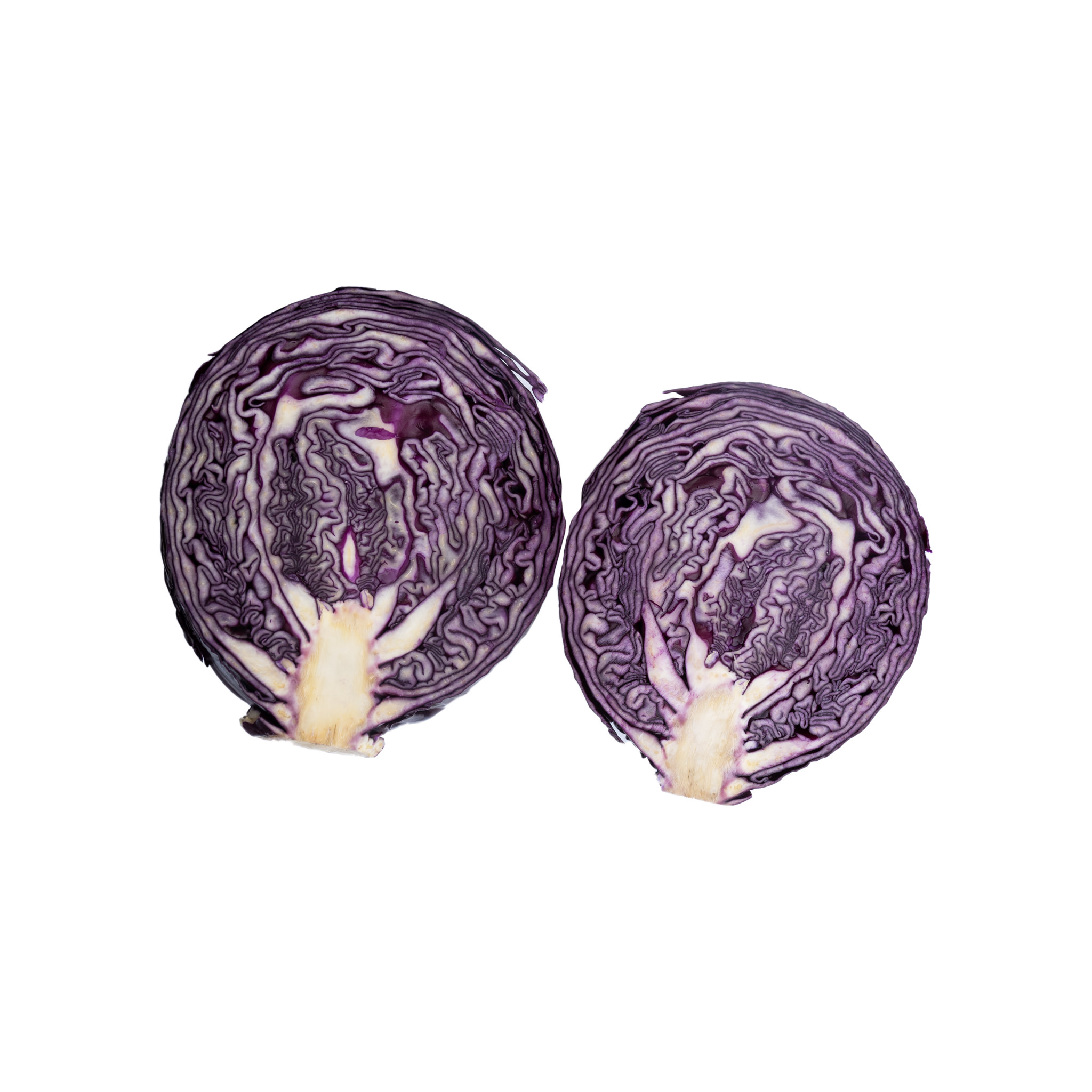 RED CABBAGE (each) - Down Wholesale